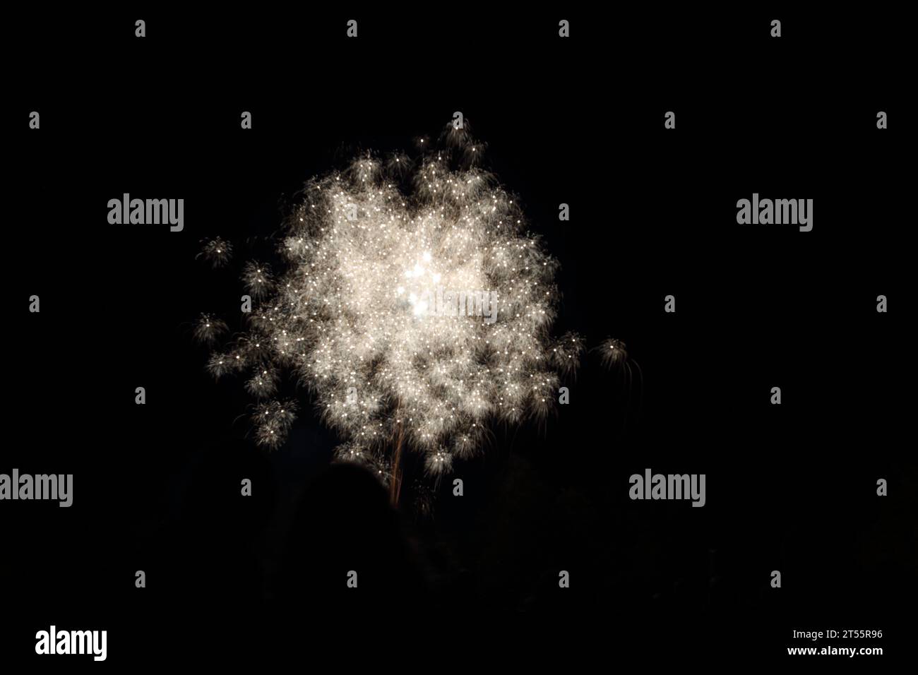 Fireworks like seed hi-res stock photography and images - Alamy