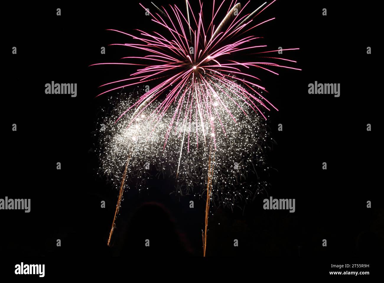 Purple, silver shower and starburst of fireworks in black night sky ...