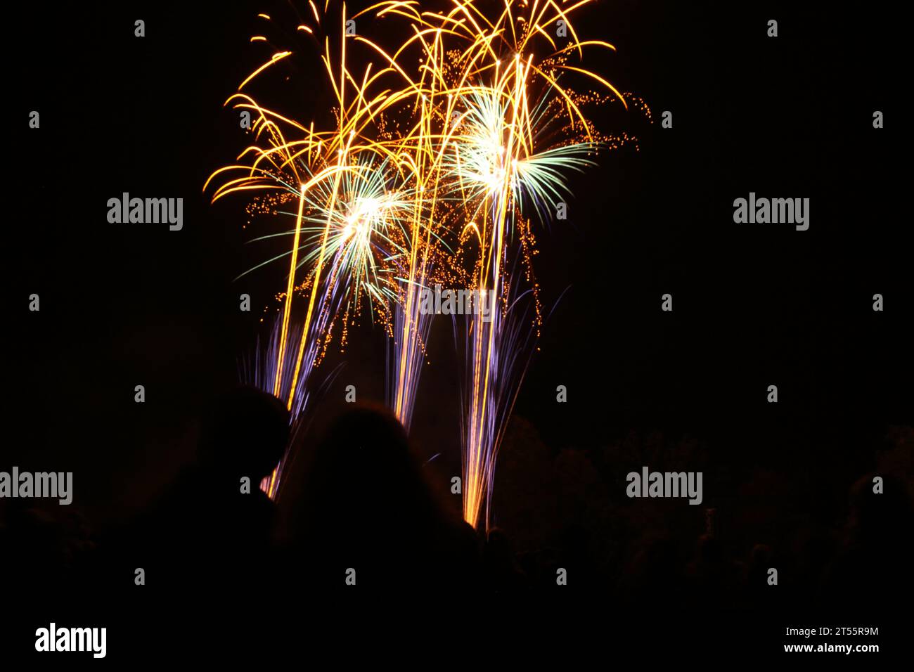 Fireworks in black night sky Stock Photo - Alamy