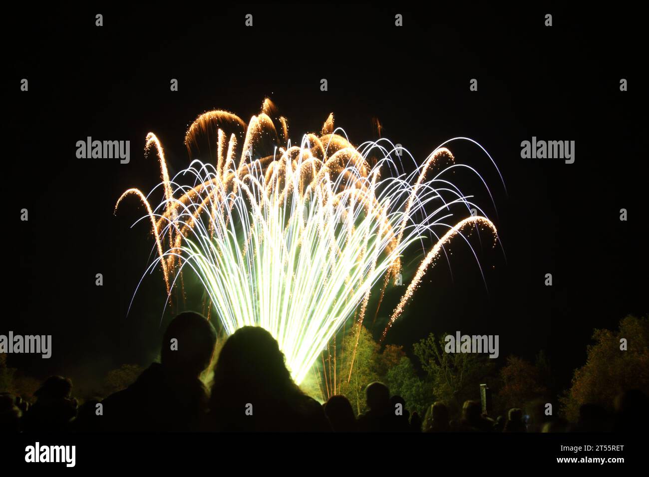 Fireworks in black night sky Stock Photo - Alamy