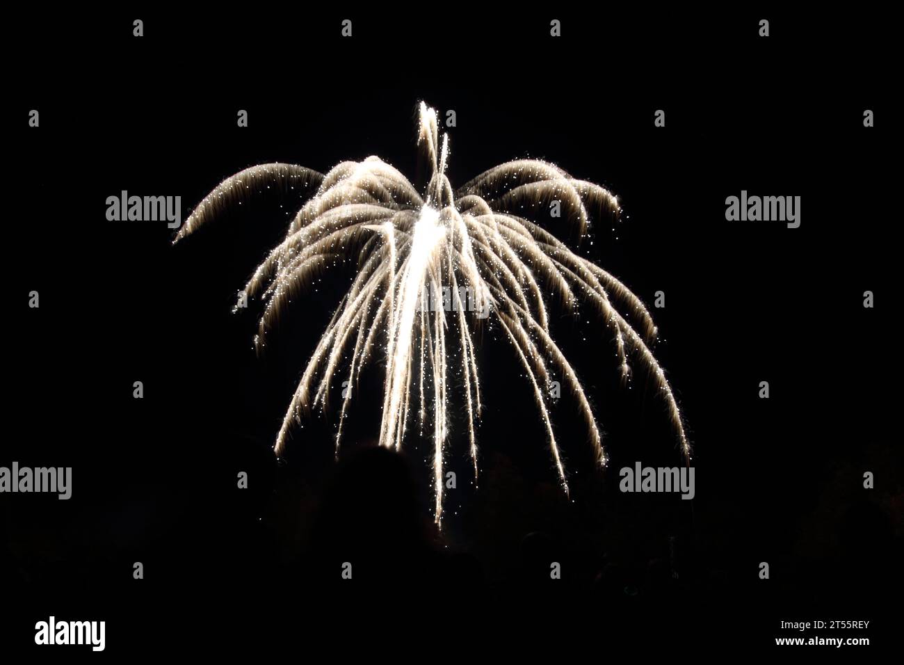 Silver fireworks in black night sky Stock Photo - Alamy