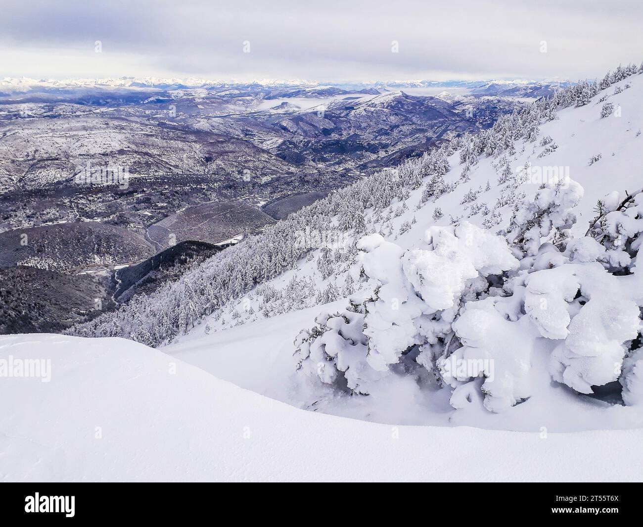 Snow-covered ridge and north face of Mont Ventoux, Provence, France ...