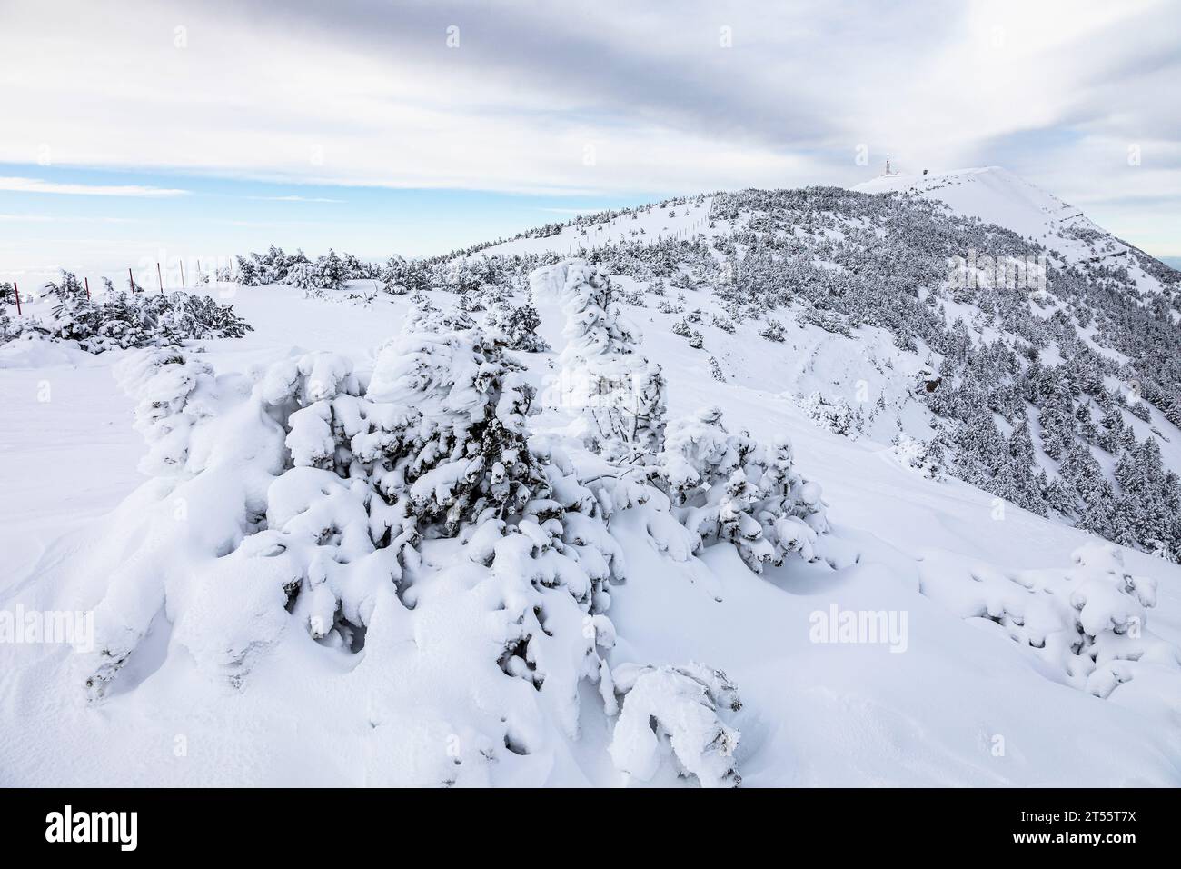 Snow-covered ridge and north face of Mont Ventoux, Provence, France ...