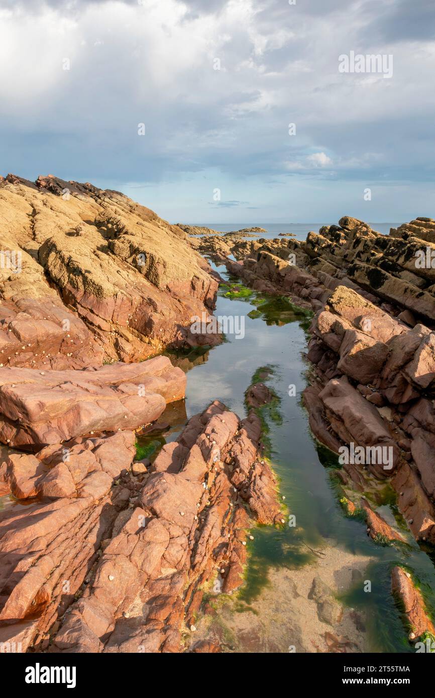 Tidepool between pink sandstone rocks, Cotes-d'Armor, France Stock ...