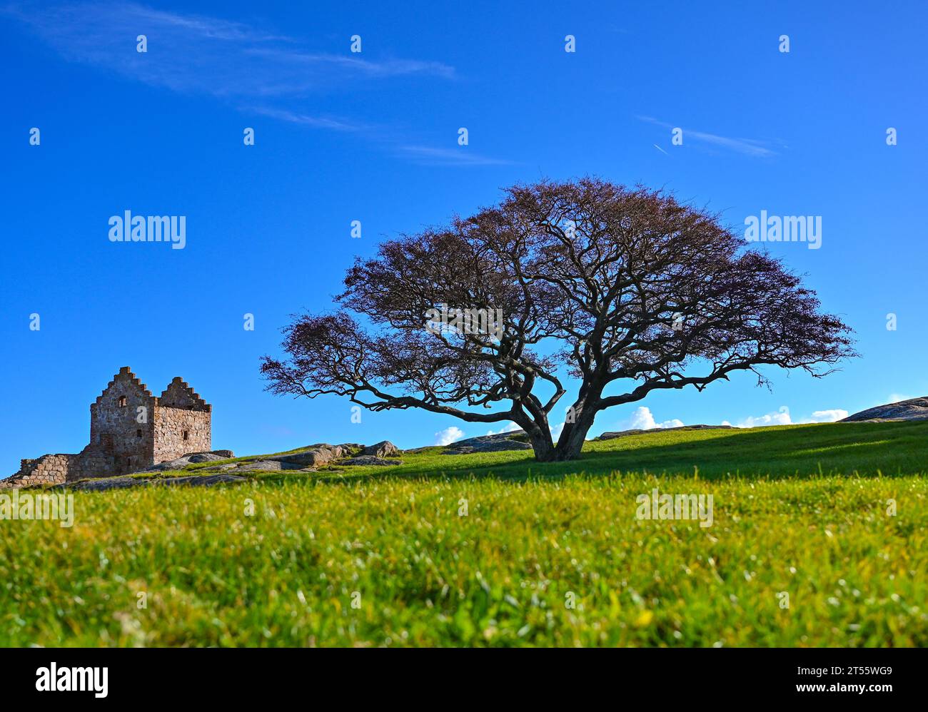 Vang, Denmark. 23rd Oct, 2023. The ruins of the medieval fortress ...