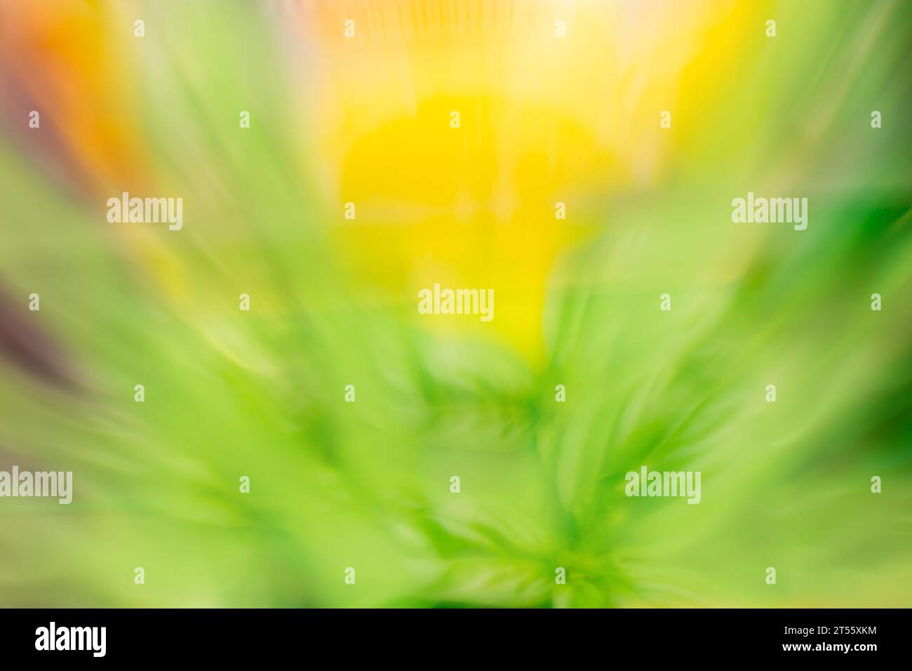 Blurred hello summer background illuminated with daylight. Abstract ...