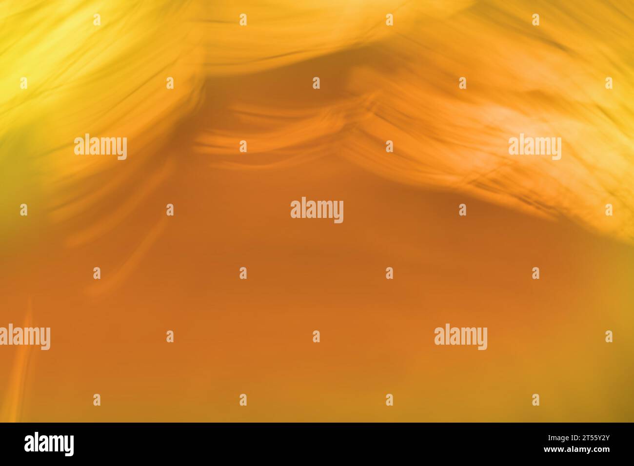 Abstract mustard blurry effect defocused background. Tawny mustard ...