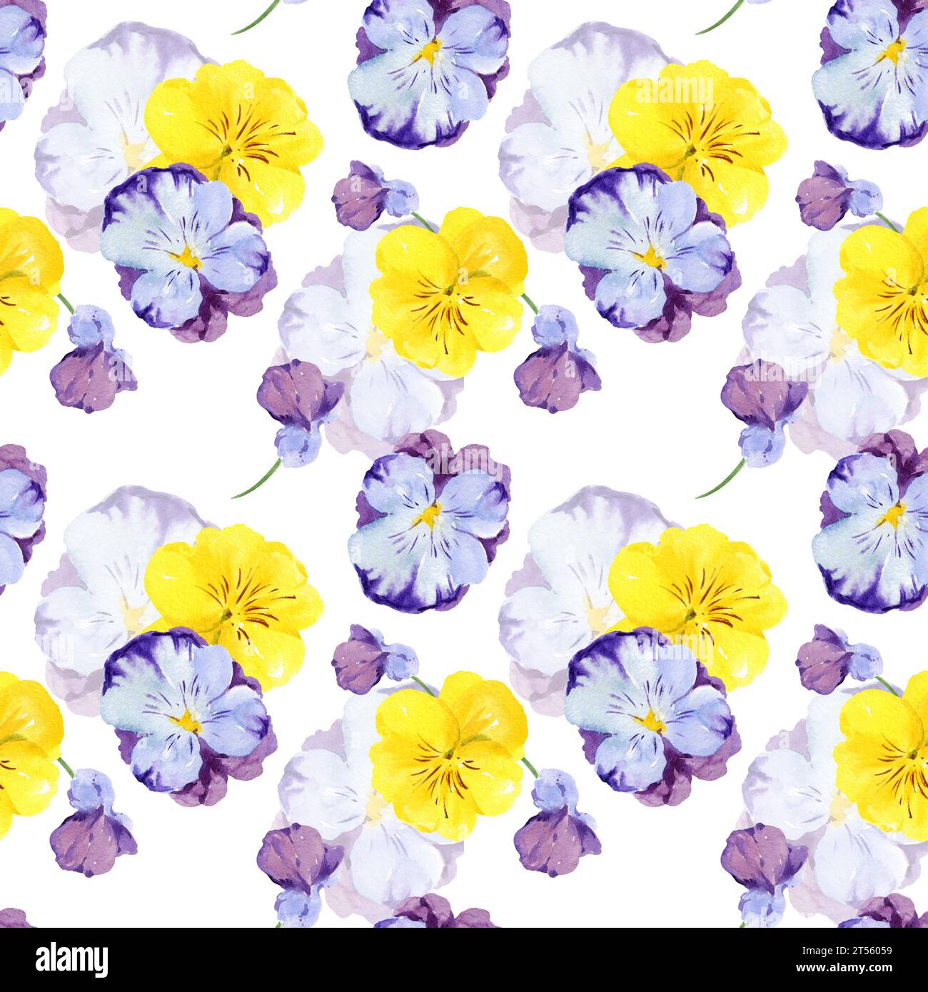 watercolor seamless pattern with hand drawn pansy flowers and buds ...