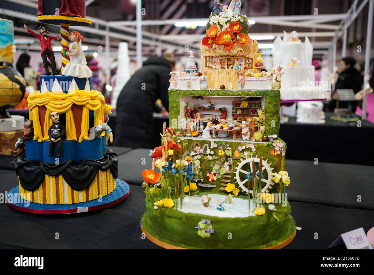 Creations entered for competition during Cake International at NEC ...