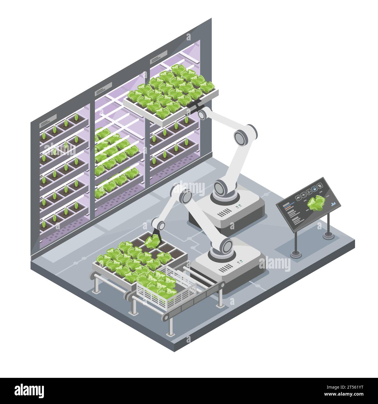 Vertical smart farming plant factory Royalty Free Vector Stock Vector ...