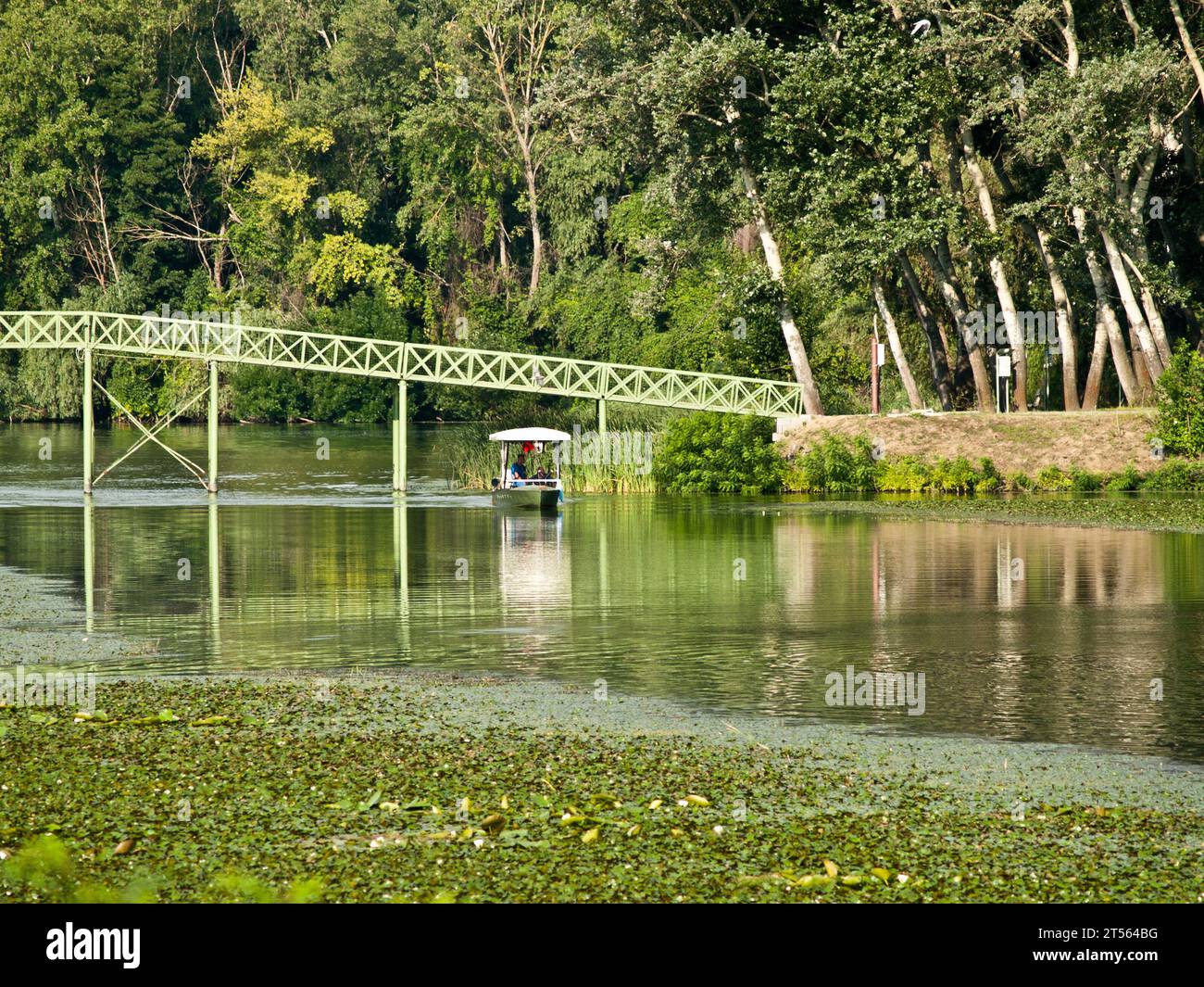 Lake Tisza in the spring, in the picture there is a small bridge, small ...