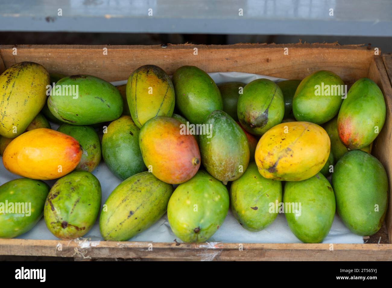 Closeup of mango boxes on display at the wholesale market stall Stock ...