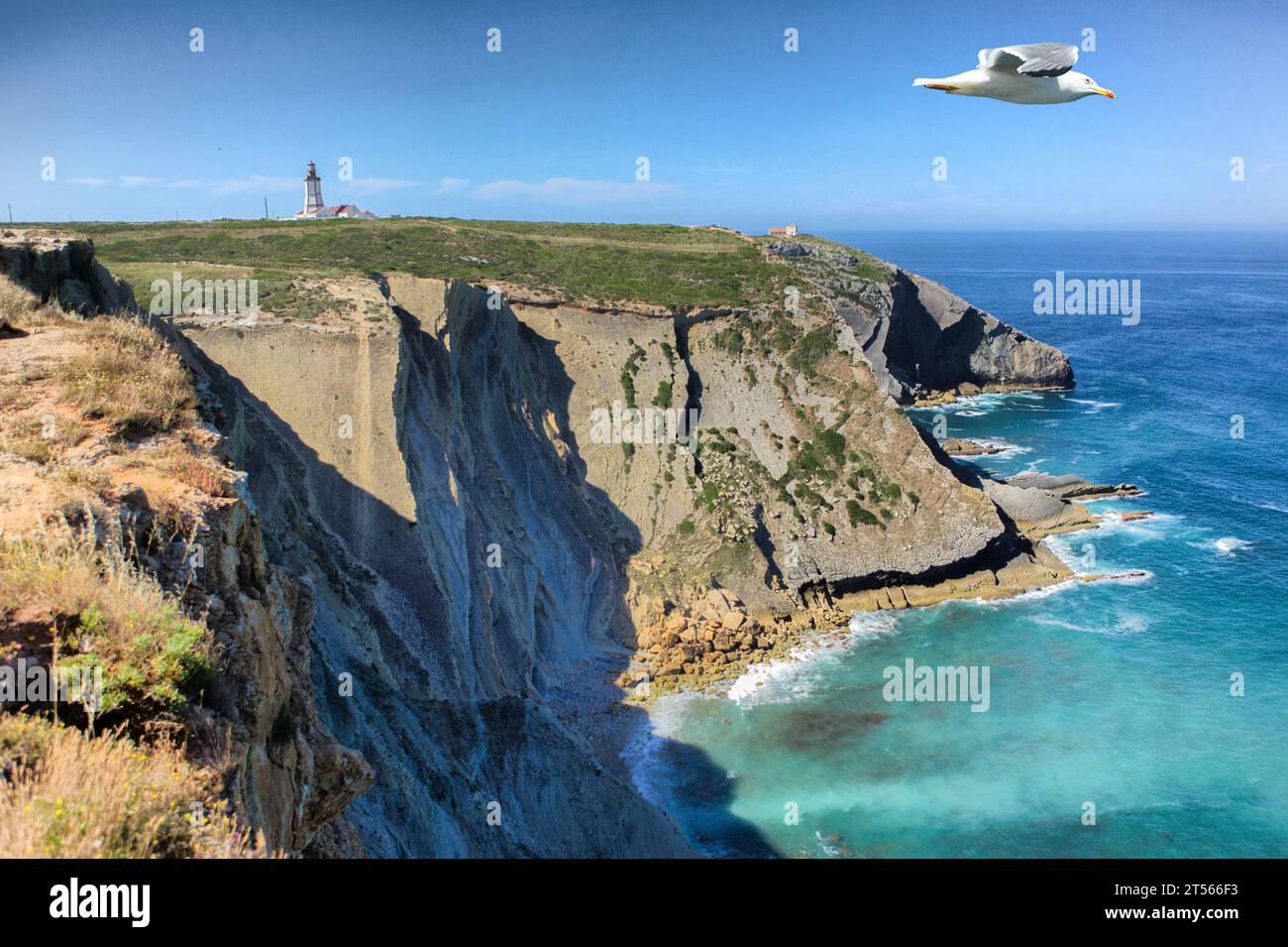 a seagull flies over Cape Espichel Cape rocky cliffs. Lighthouse building at bottom, Sesimbra ...