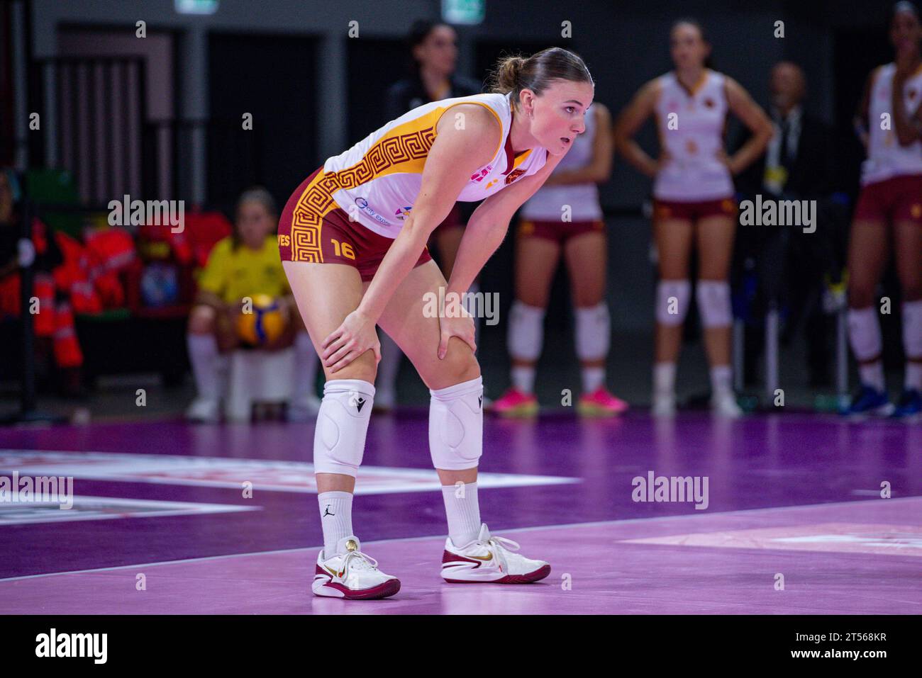Courtney rose schwan hi-res stock photography and images - Alamy