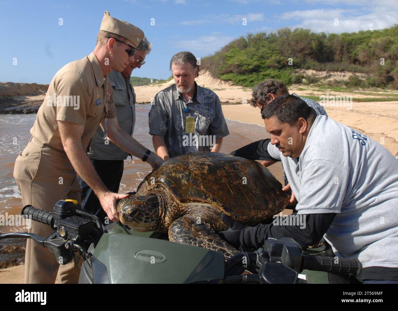 pacific missile range, PMRF, Sailors, Sea turtle Stock Photo - Alamy