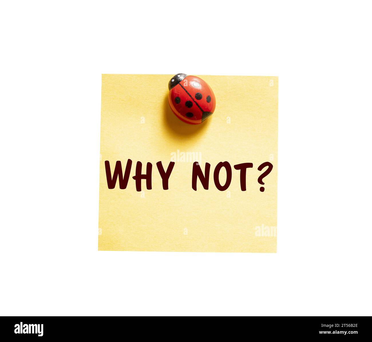 The why not? Cut Out Stock Images & Pictures - Alamy