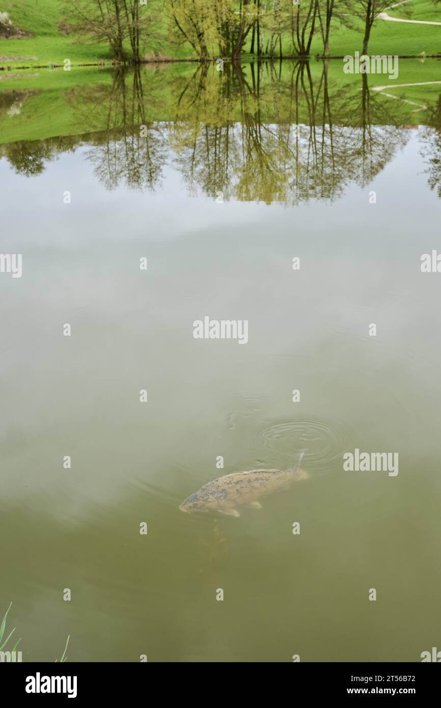 Mirage in little lake hi-res stock photography and images - Alamy