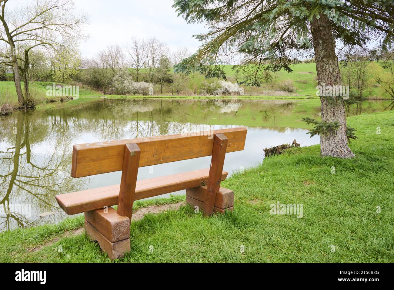 Park bench standing beside a little lake, Bavaria, Germany Stock Photo ...