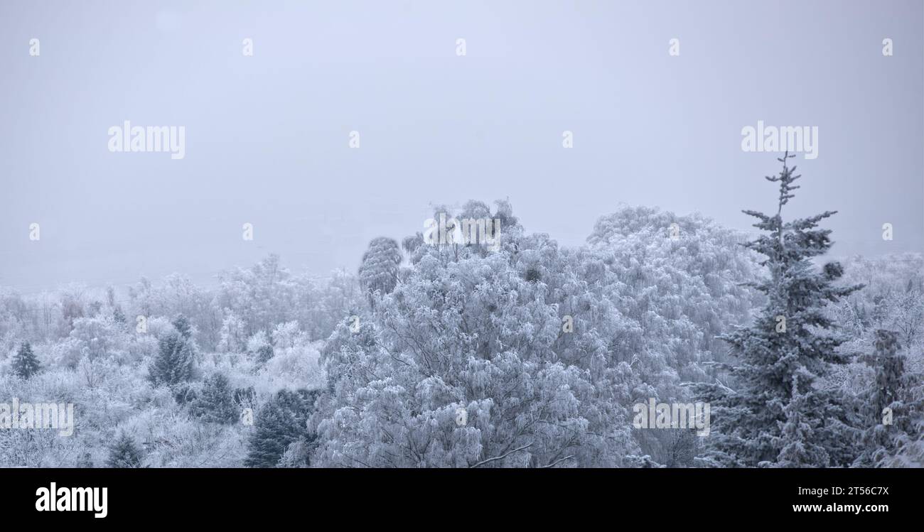 Winter panorama of a suburban housing estate Stock Photo - Alamy