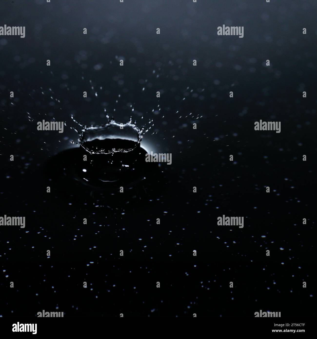 Breaking the water surface hi-res stock photography and images - Alamy