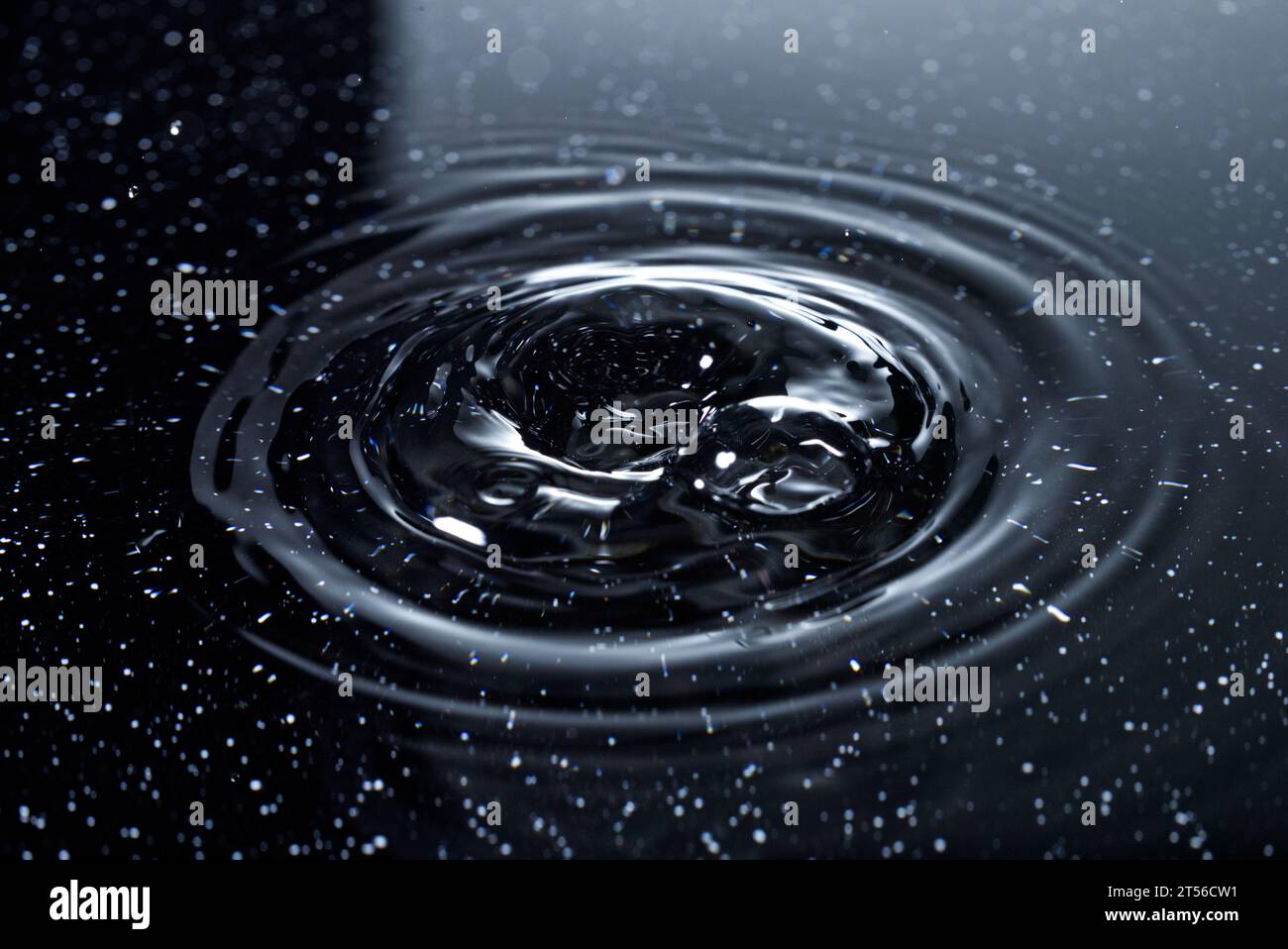 Breaking the water surface hi-res stock photography and images - Alamy