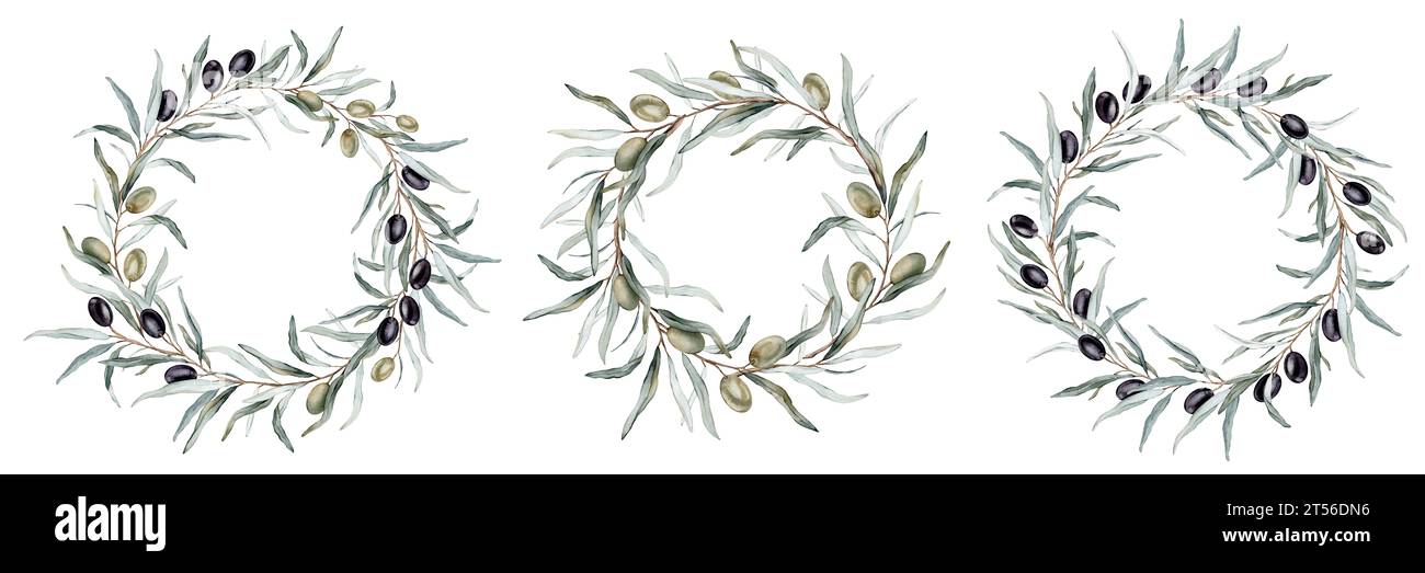 Set of watercolor olive branch round wreath with black and green fruit ...