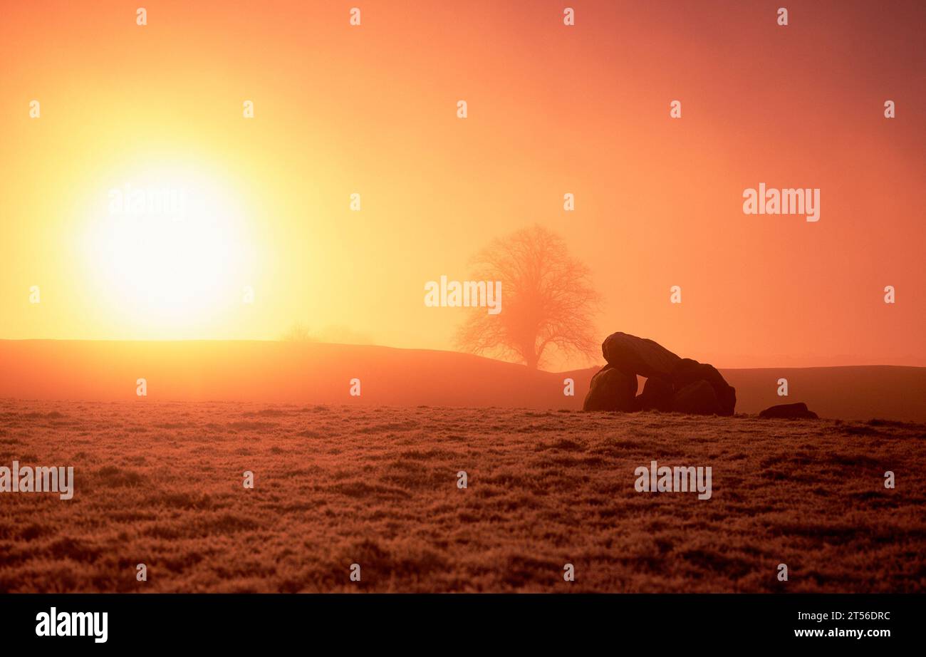 Giants Ring Henge Monument and Dolmen, County Down, Northern Ireland ...
