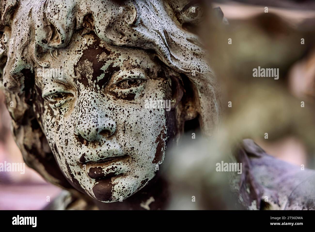 Weathered face hi-res stock photography and images - Alamy