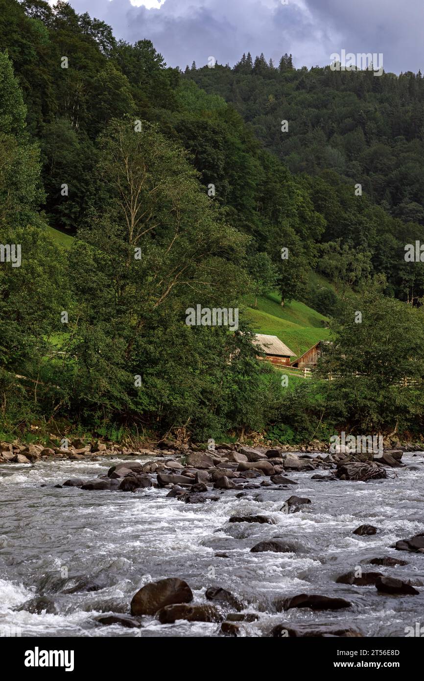 The Carpathian region of Ukraine near the village of Yaremche Stock ...
