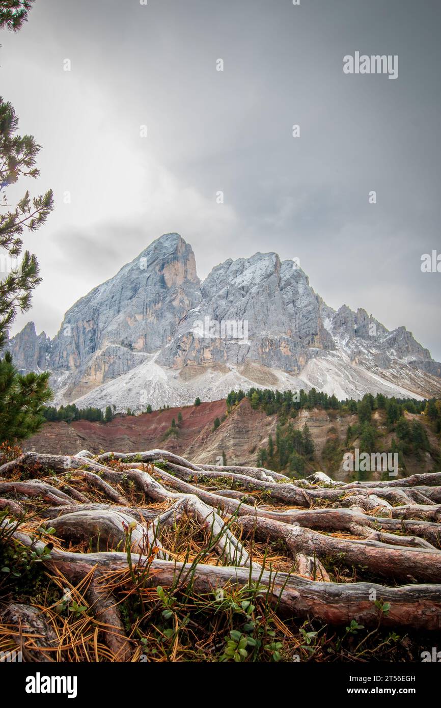 Scenic view of Peitlerkofel (ital. Sass de Putia) moutain in South ...