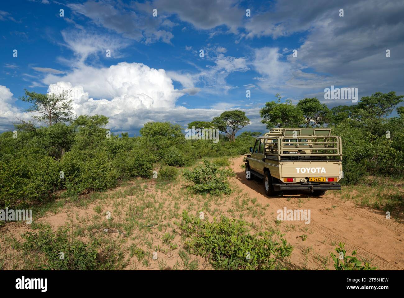 Four-wheel drive car on sandy track in the northern Kalahari, Wildacker ...