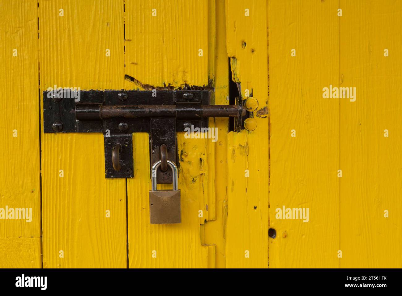 Yellow painted wood plank barn door locked with brass padlock, Quebec ...