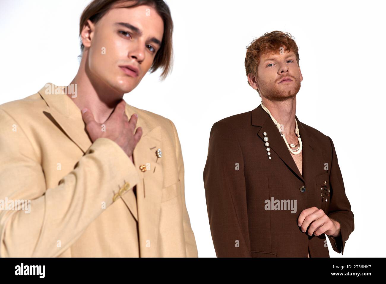 two appealing young men in elegant classy suits with accessories ...