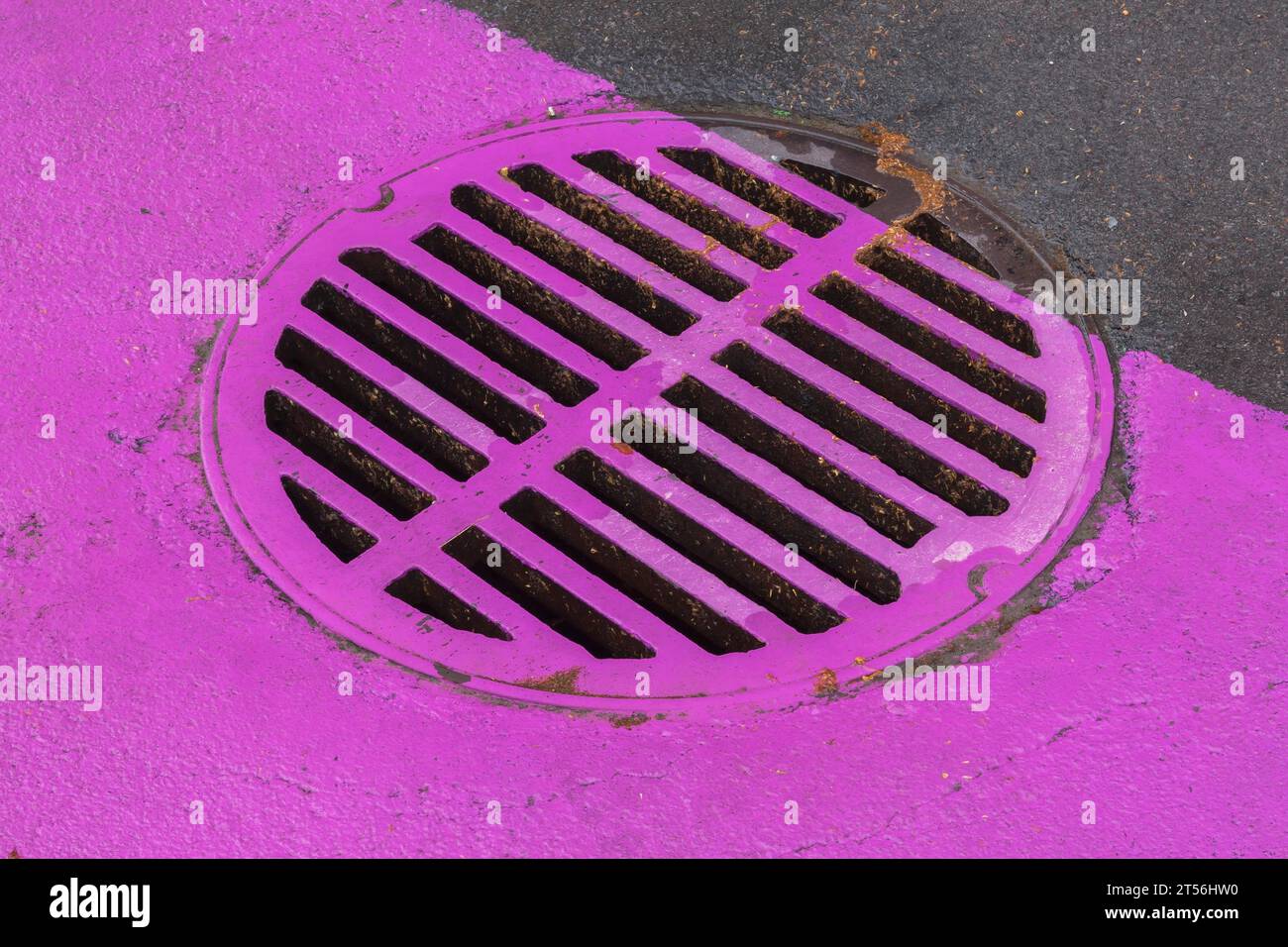 Purple painted sewer cover and asphalt surface, Quebec, Canada Stock ...