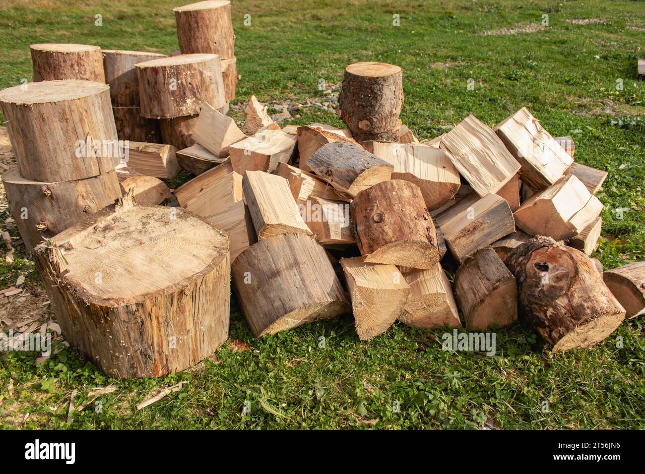 Stack of firewood. Wooden trunk and logs on green grass. Woodpile ...