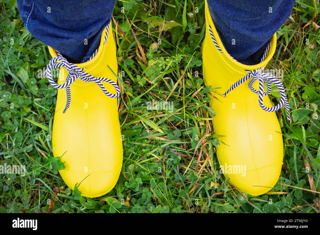 Yellow rubber boots on wet grass background. Walking in the rain ...