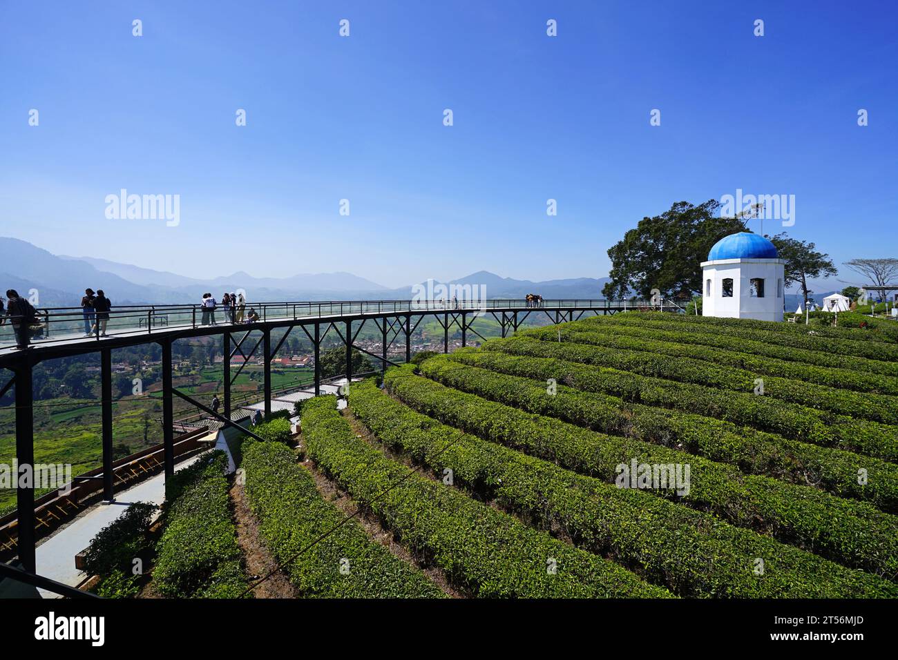 Nimo Highland Park at Tea Plantation Pengalengan Bandung, West Java ...