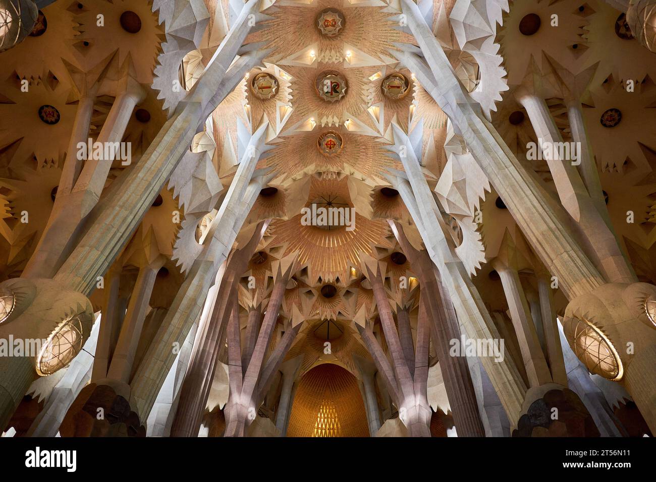 Looking up into the roof space of the Sagrada Familia in Barcelona, A ...