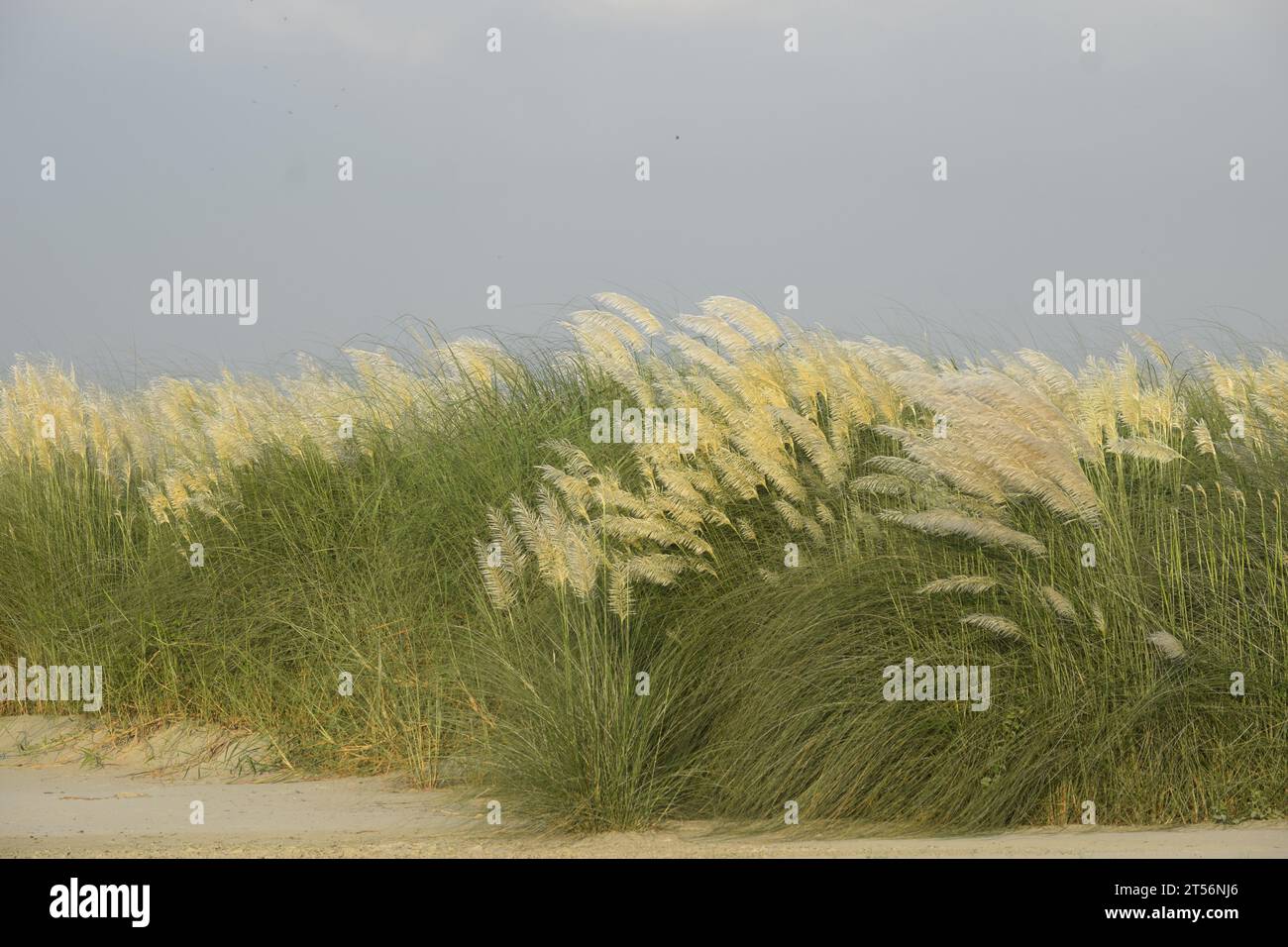 Kas ful hi-res stock photography and images - Alamy