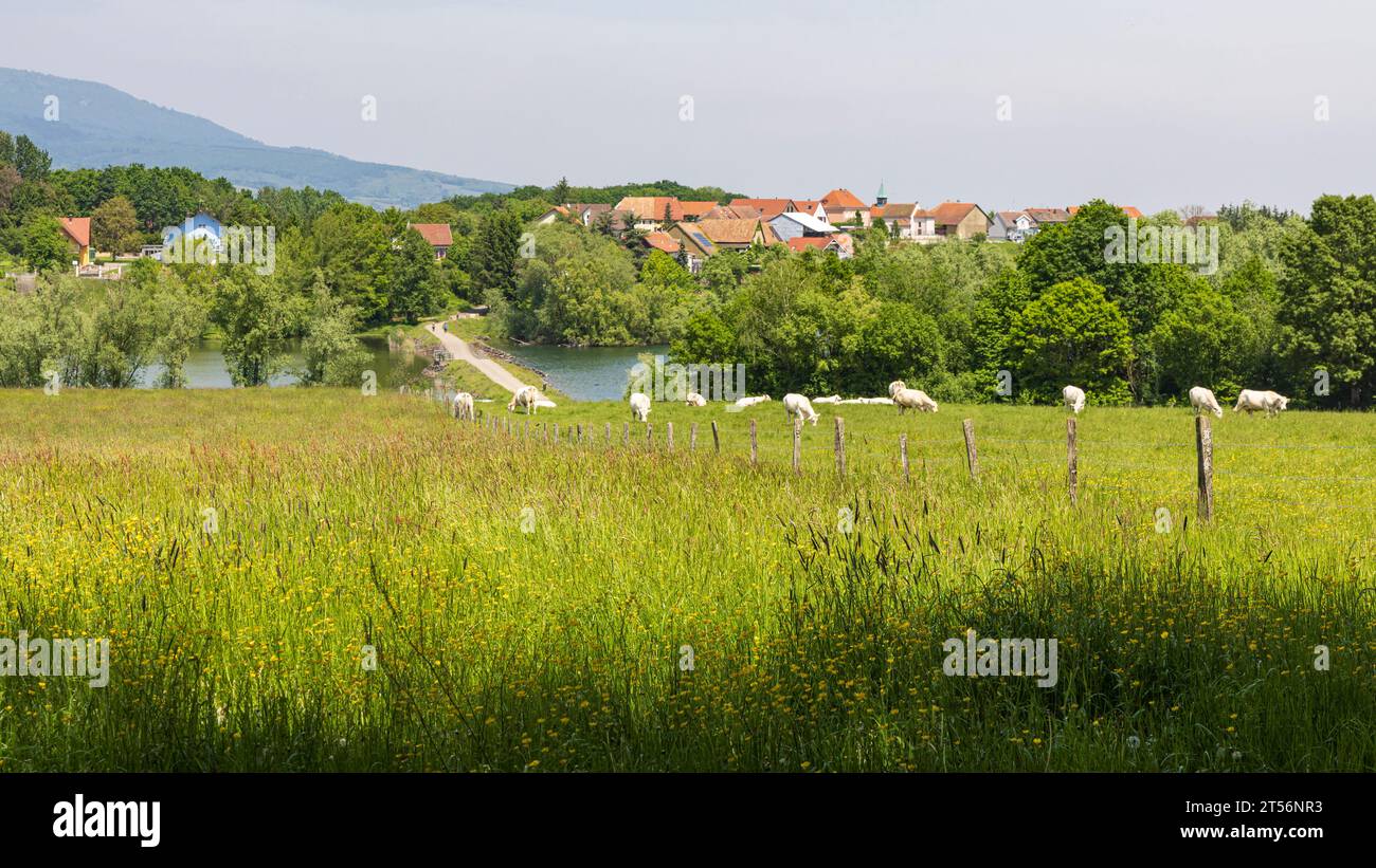 Haut bocage hi-res stock photography and images - Alamy