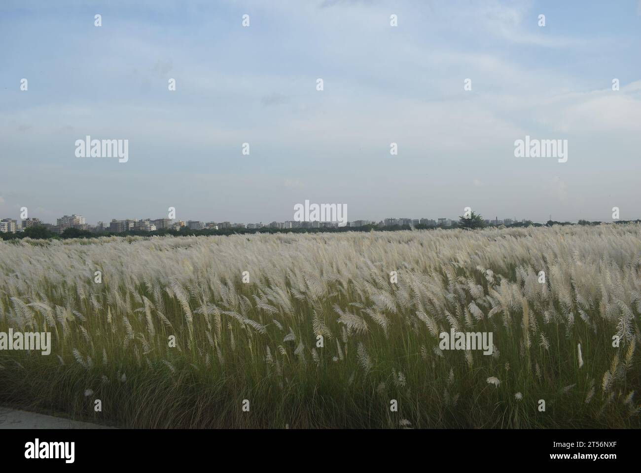 Kas ful hi-res stock photography and images - Alamy