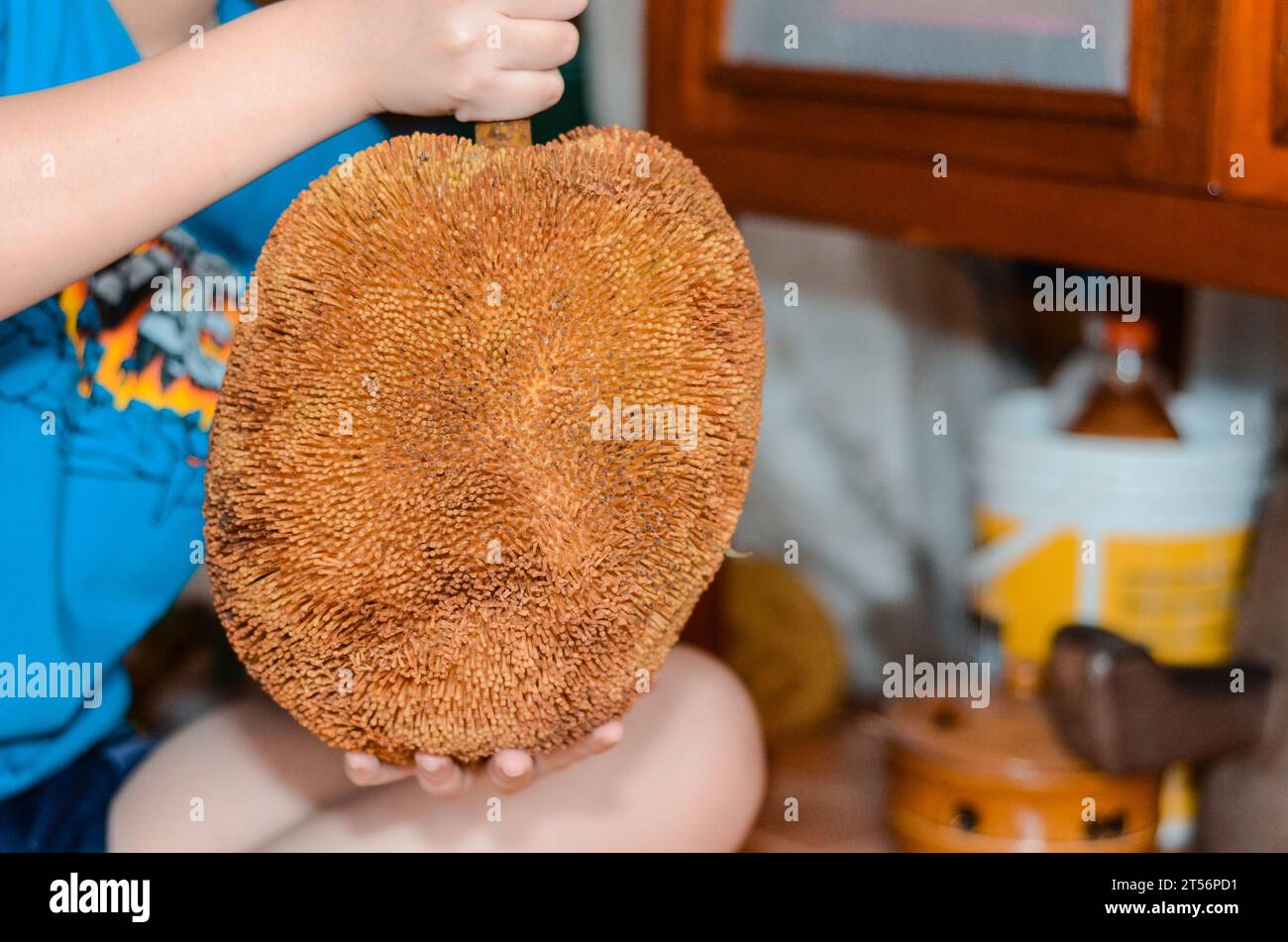 Johey hi-res stock photography and images - Alamy