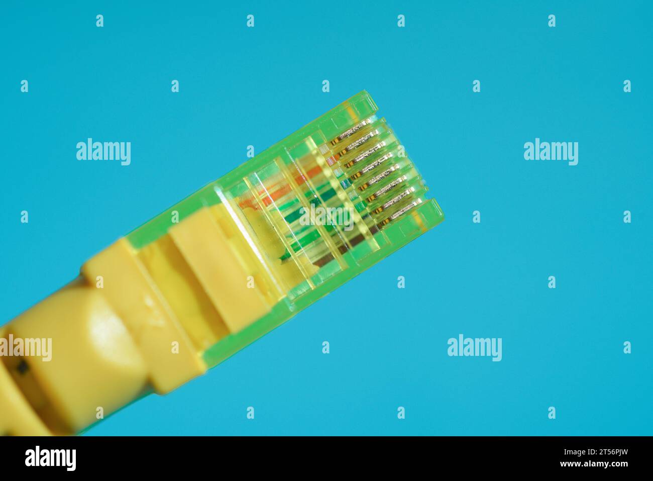 Closeup category hi-res stock photography and images - Alamy