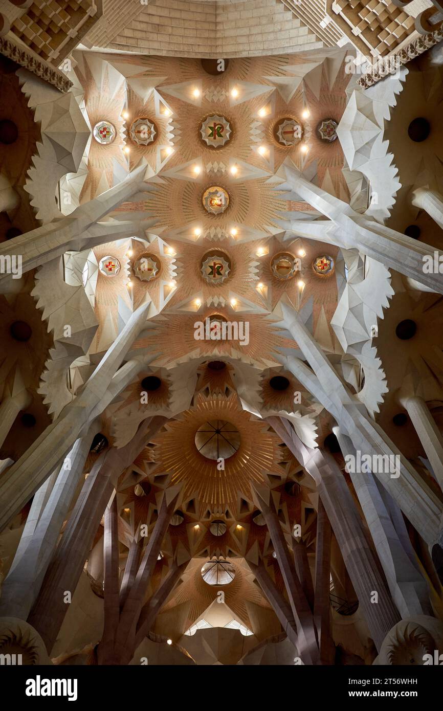 Looking up into the roof space of the Sagrada Familia in Barcelona, A ...