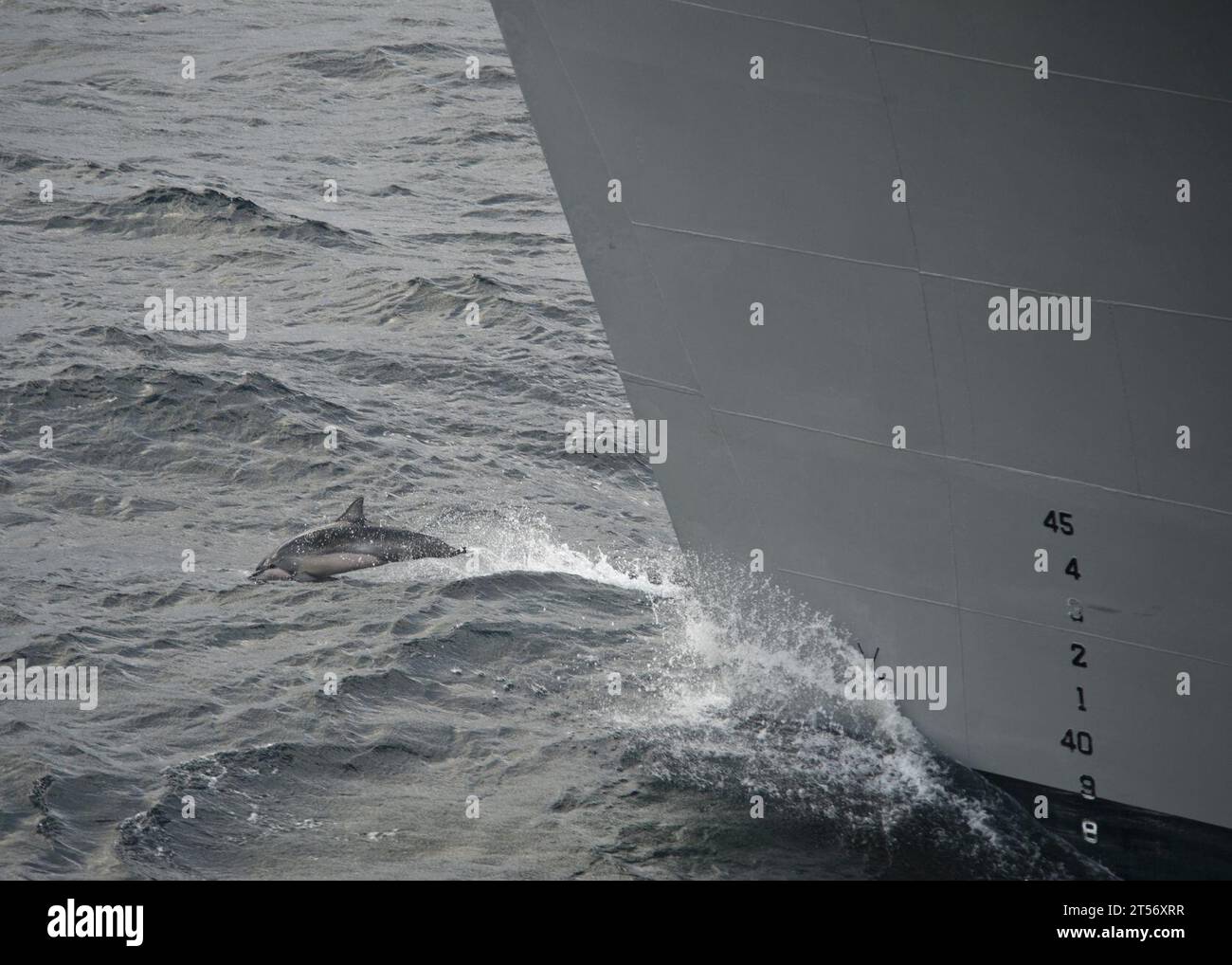 Navy military dolphin hi-res stock photography and images - Alamy