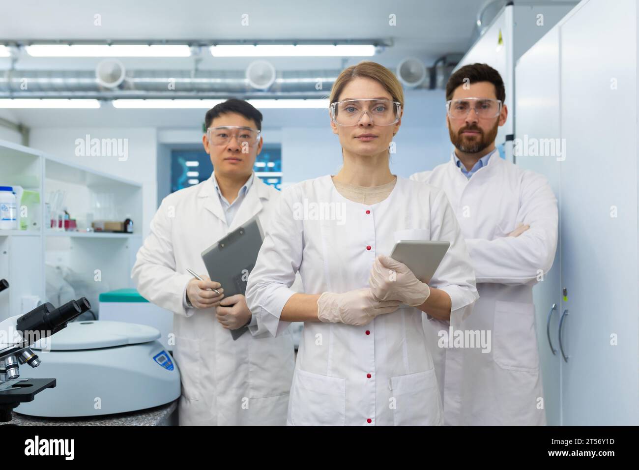 Diverse assistants working in laboratory hi-res stock photography and ...