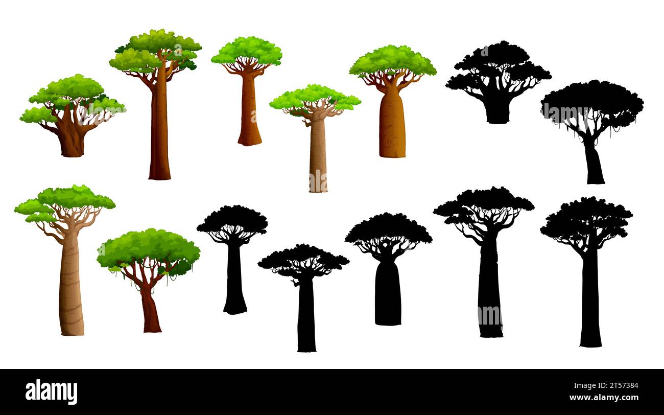South African Plants Stock Vector Images Alamy