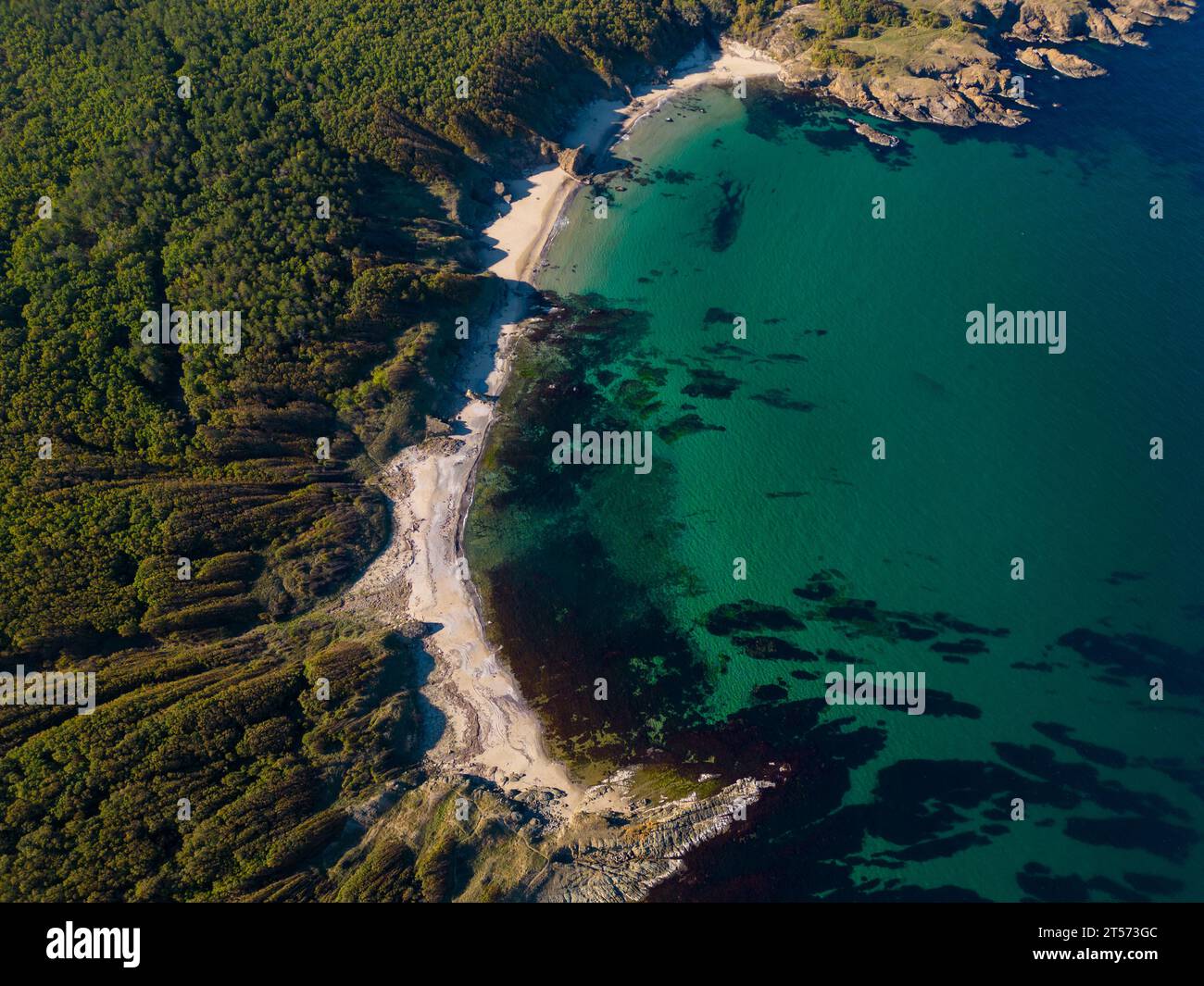 Aerial view of the rocky, wild coast of the Black Sea in Bulgaria, with ...