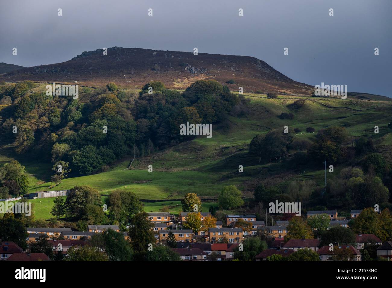 Stansfield moor hi-res stock photography and images - Alamy