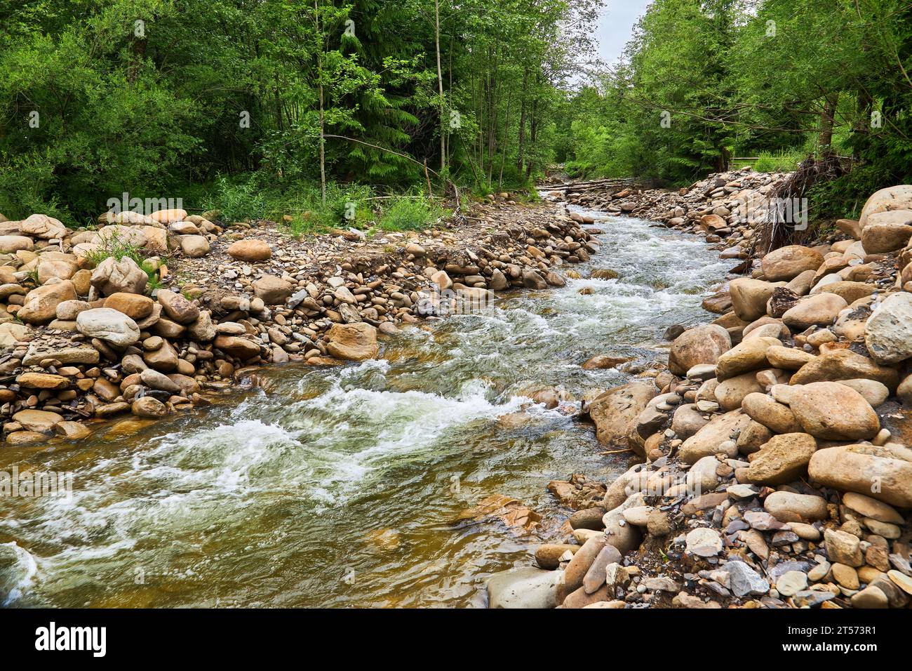 landscape with mountains, forest and a river in front. beautiful ...